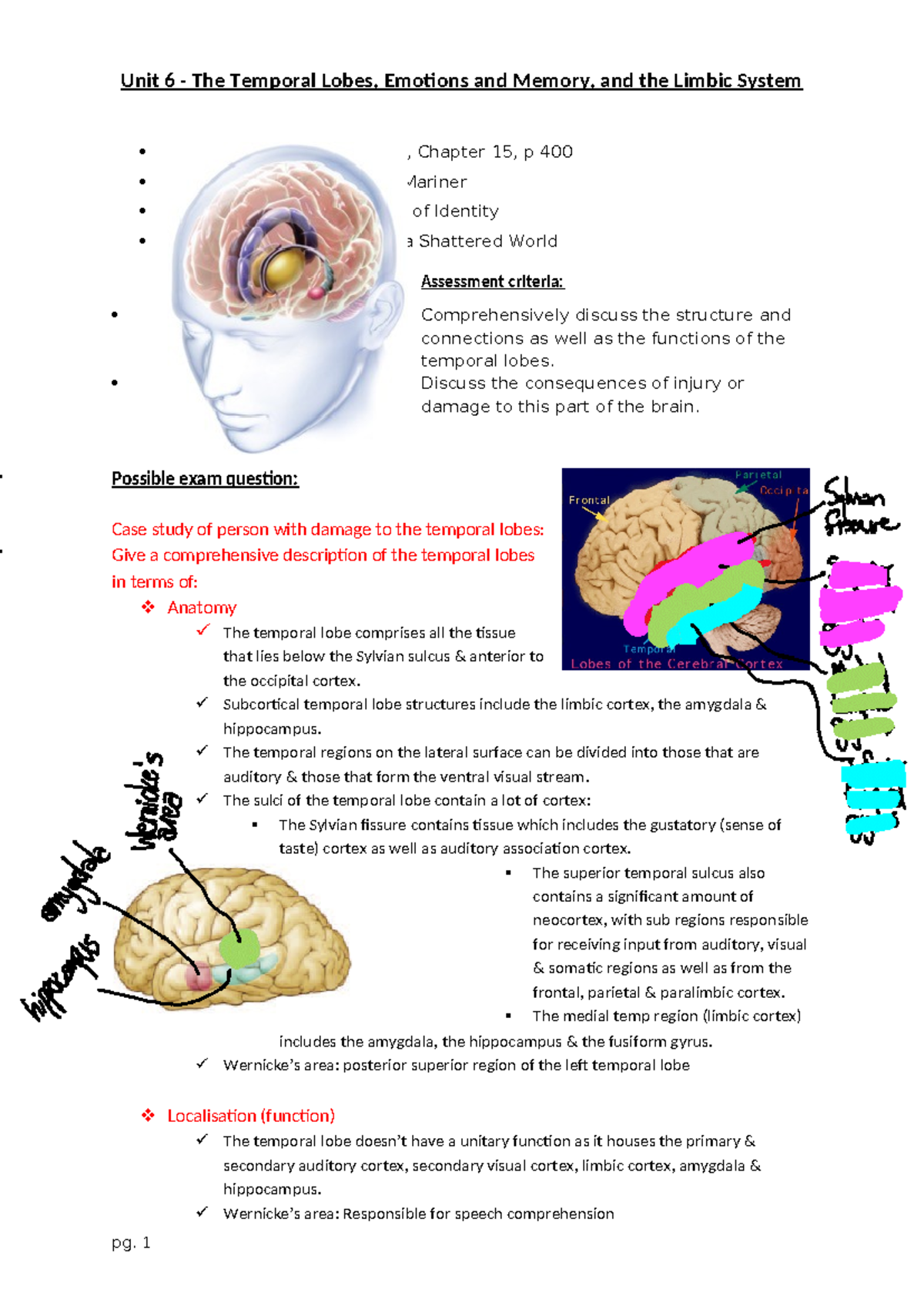 Neuropsychology Exam Notes: Temporal Lobes, Emotions & Memory - PSY 101 ...