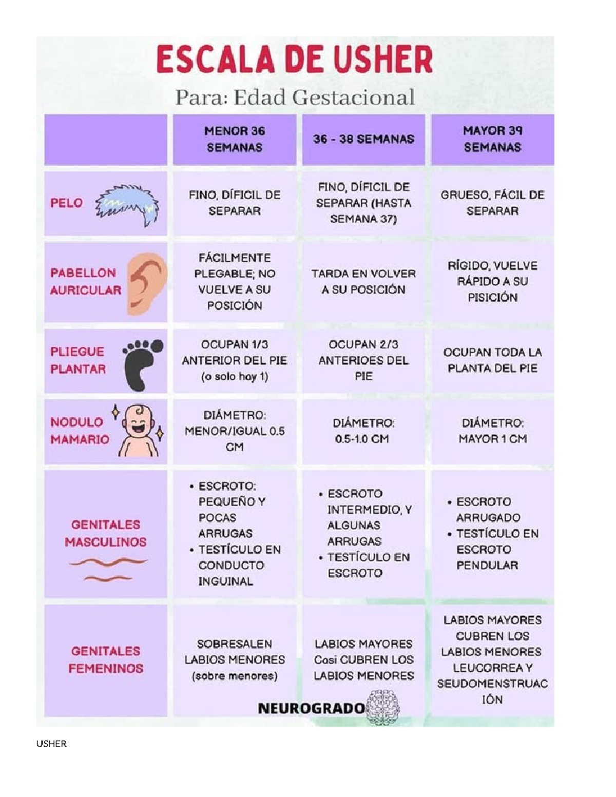 ESCALA DE USHER Y TEST DE DUBOWITZ EN RECIÉN NACIDOS - TEMA 5 - Studocu