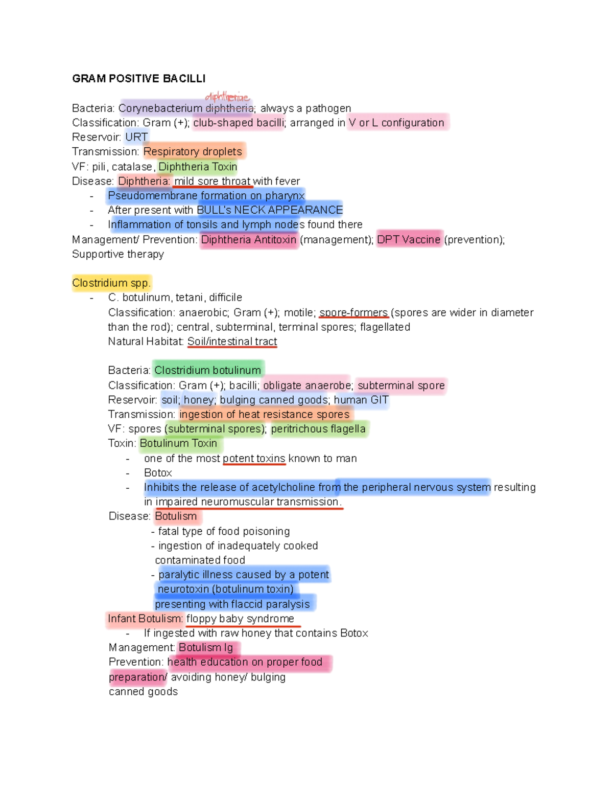 GRAM POSITIVE BACTERIA: Classification & Diseases Notes - Studocu