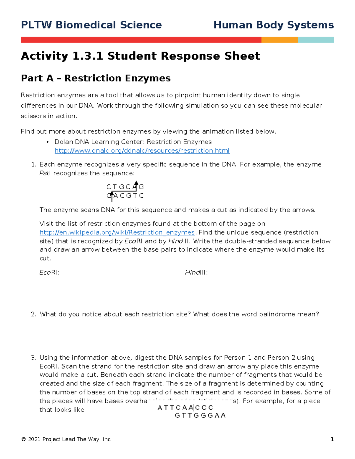 HBS 131 Activity 1.3.1 Response Sheet - Restriction Enzymes - Studocu