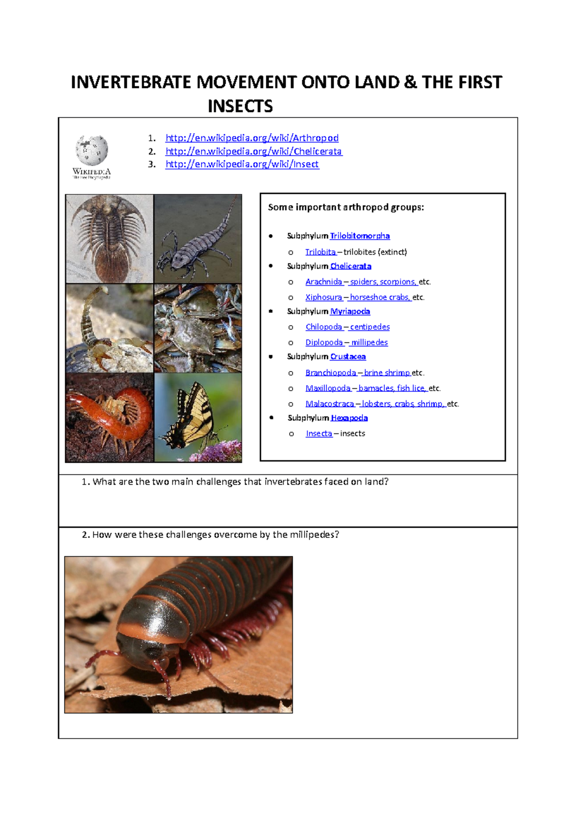 04 Invertebrate Movement into the Land and First Insects - INVERTEBRATE ...