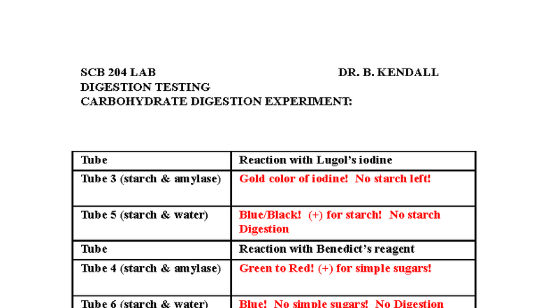 SCB 204 Lab #7: Carbohydrate & Protein Digestion Experiment - Studocu