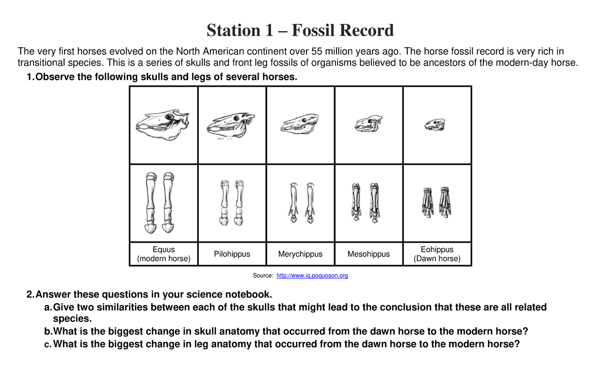 Theory-of-Evolution-Study-Guide-Station-Activities-Sciences - Studocu