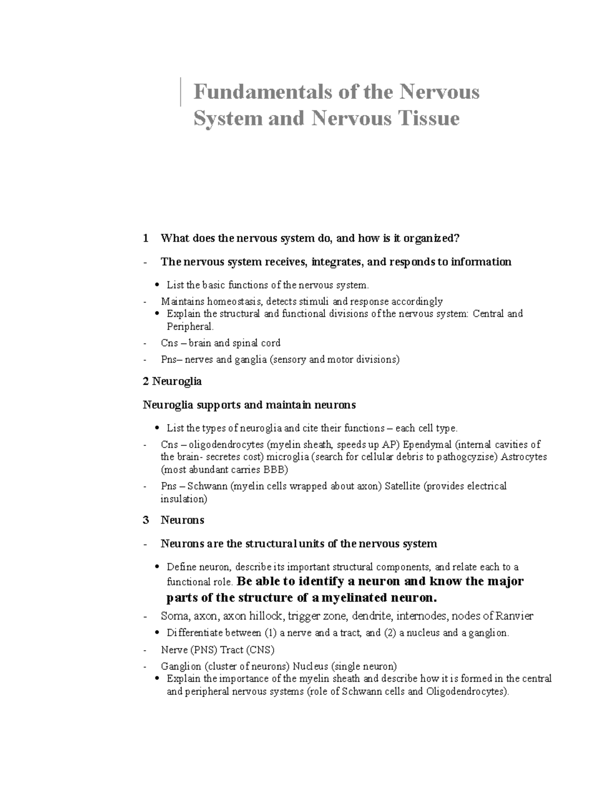 Comprehensive Overview Of The Nervous System Structure And Function