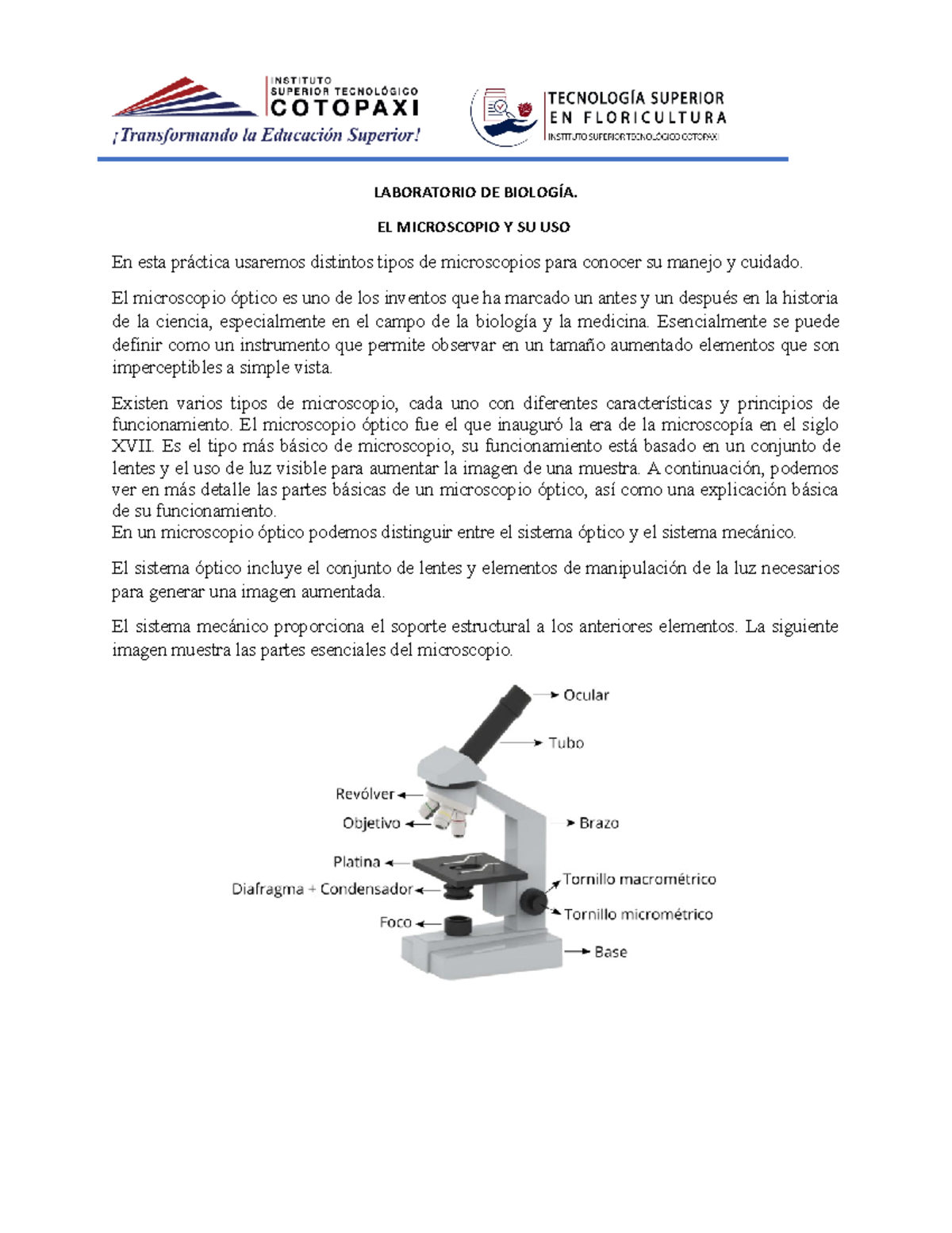 Biol 101: Uso y Práctica del Microscopio en Biología Laboral - Studocu