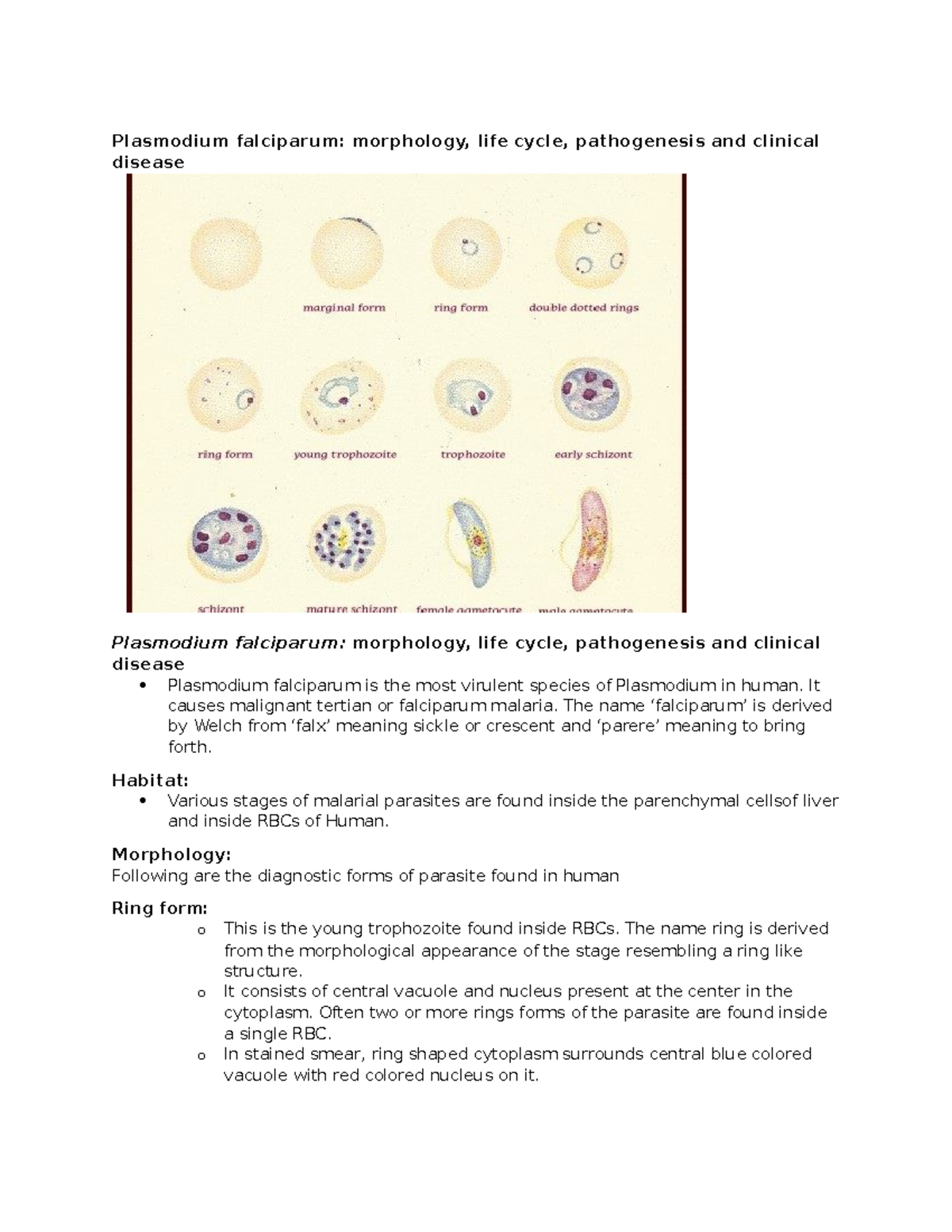 Plasmodium falciparum morphology, life cycle, pathogenesis and clinical ...