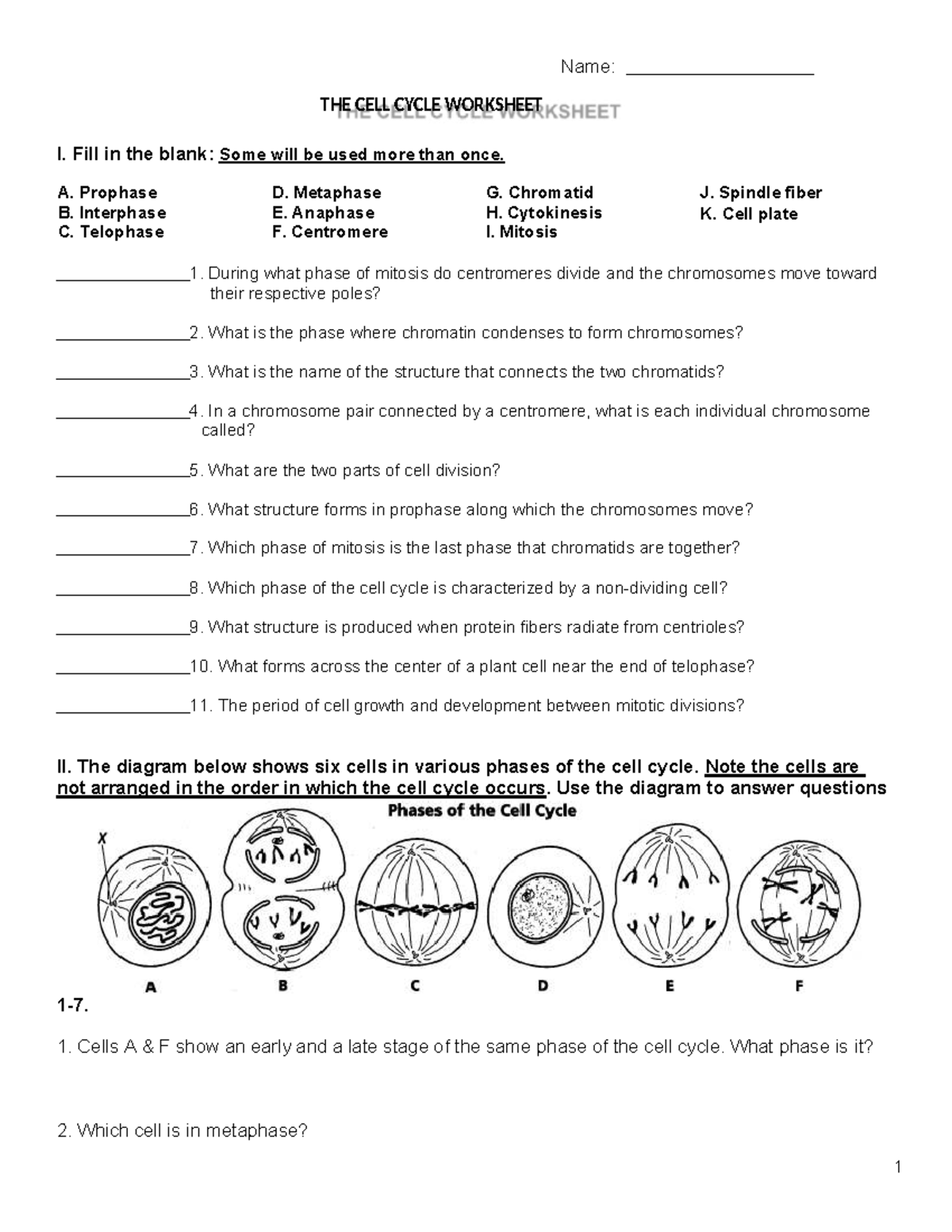 CELL 101: Cell Cycle & Mitosis Worksheet Review - Studocu