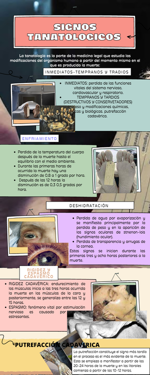 Infografía de contusiones - Con integridad de la piel Sin integridad de ...