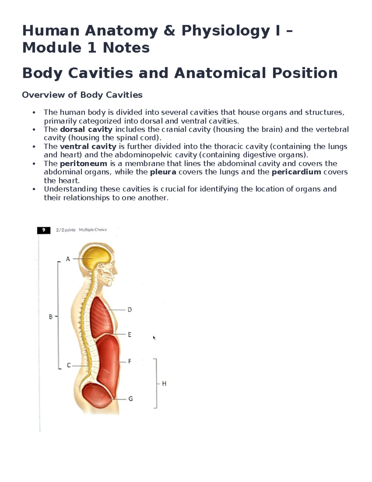 Human Anatomy & Physiology I - Module 1: Body Cavities & Functions ...