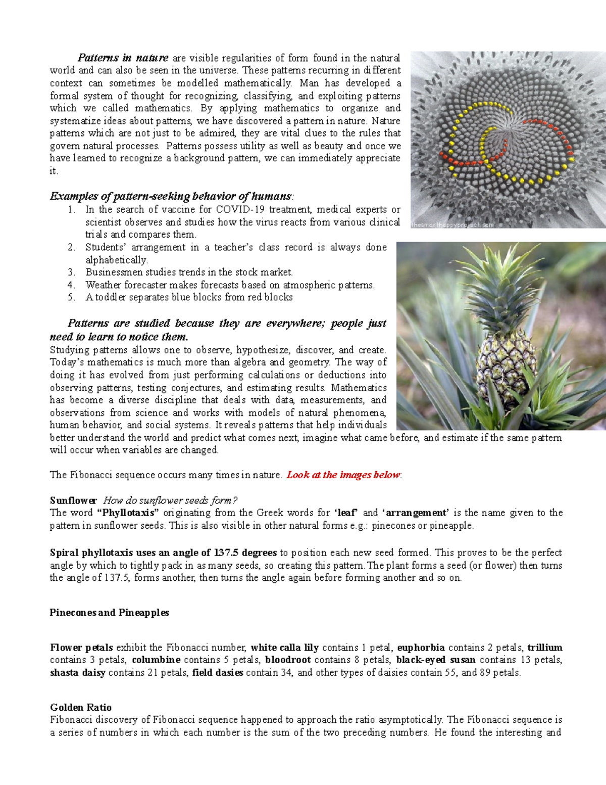 1 - Module - Patterns in nature are visible regularities of form found ...