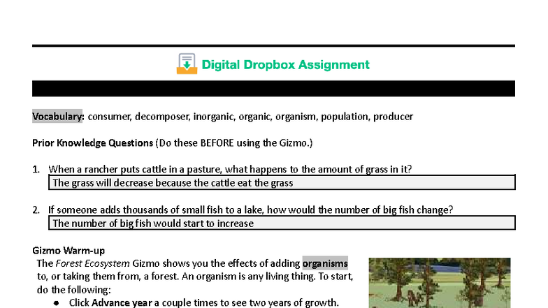 U1: Gizmos Lab Simulation on Forest Ecosystem Dynamics - Studocu