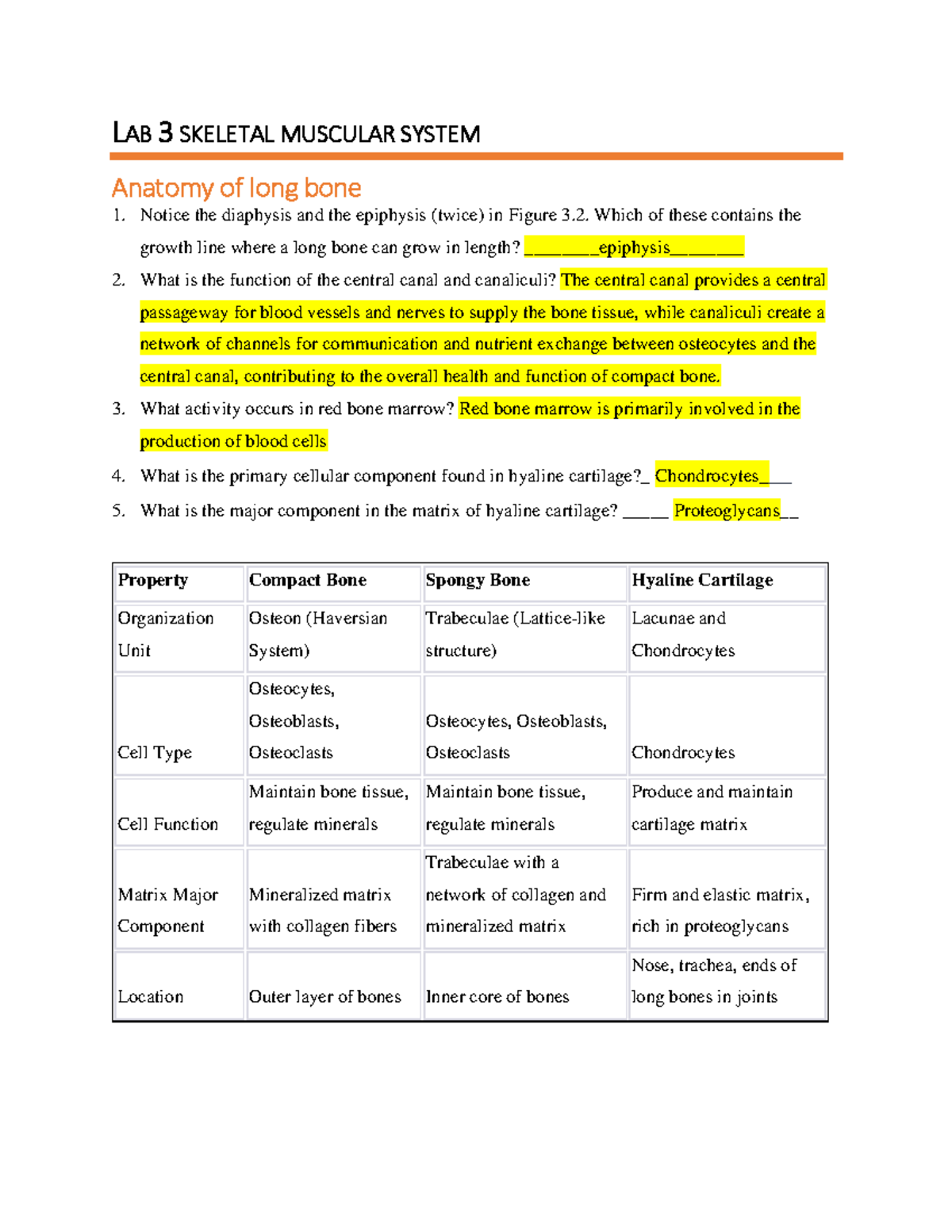 LAB 3: SKELETAL MUSCULAR SYSTEM - STRUCTURE & FUNCTIONS EXPLAINED - Studocu
