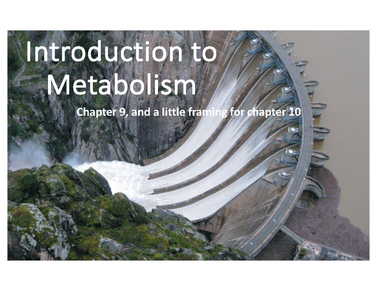 Cellular Respiration: Glycolysis & Regulation Overview (Chapter 9 ...