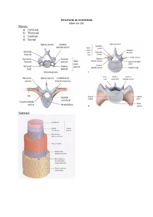 [Solved] Hoe maak je onderscheid tussen losmazig bindweefsel straf ...