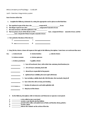 BIO 210 Lab 6 Exercise - answers - BIO 210 Anatomy and Physiology I - D. BELSER Lab 6 ...