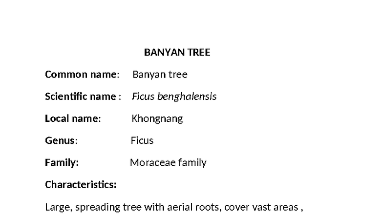 Banyan Tree Overview: Characteristics, Uses, and Benefits (TRE1) - Studocu