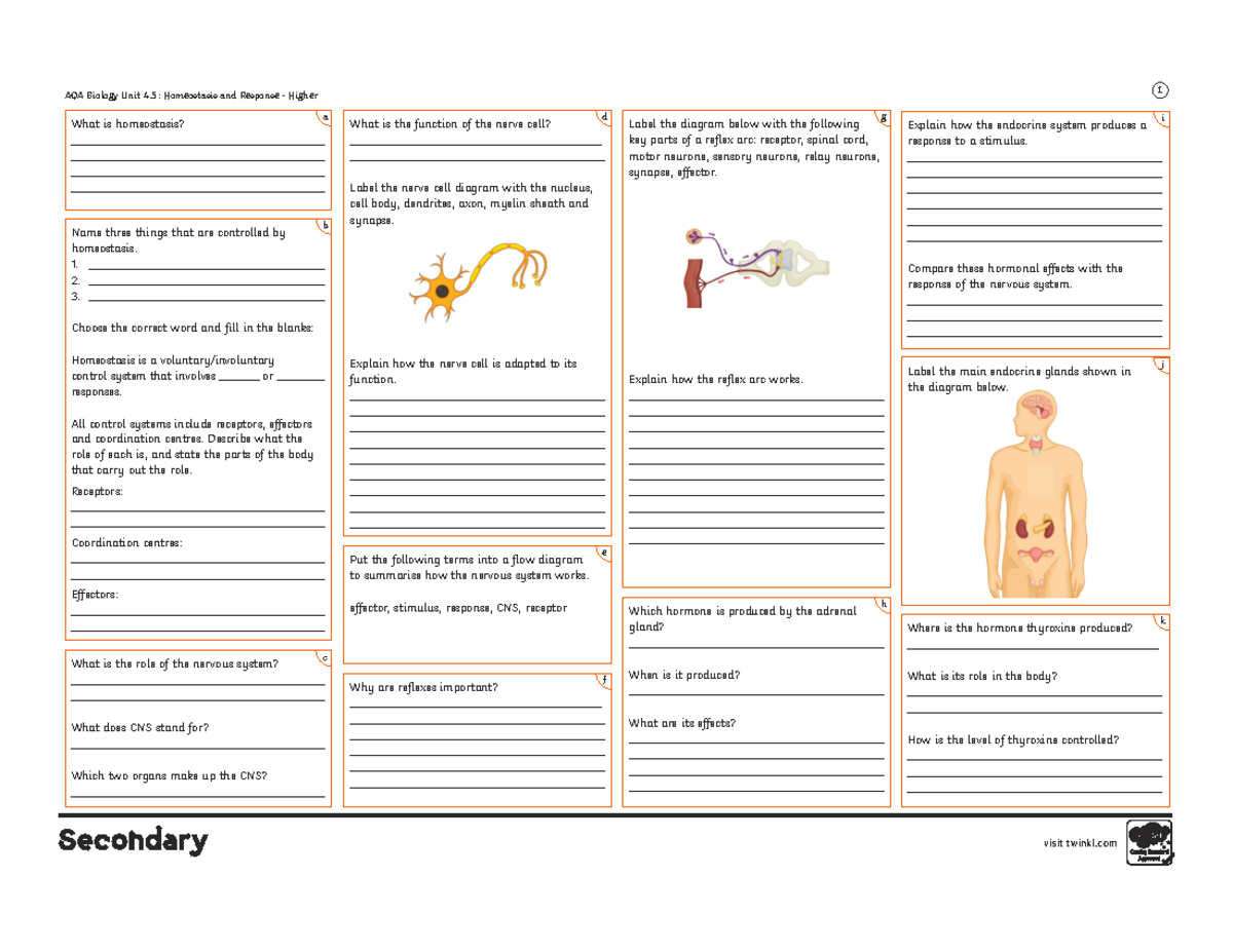 AQA Biology Unit 4: Homeostasis & Response - Higher Revision Notes ...