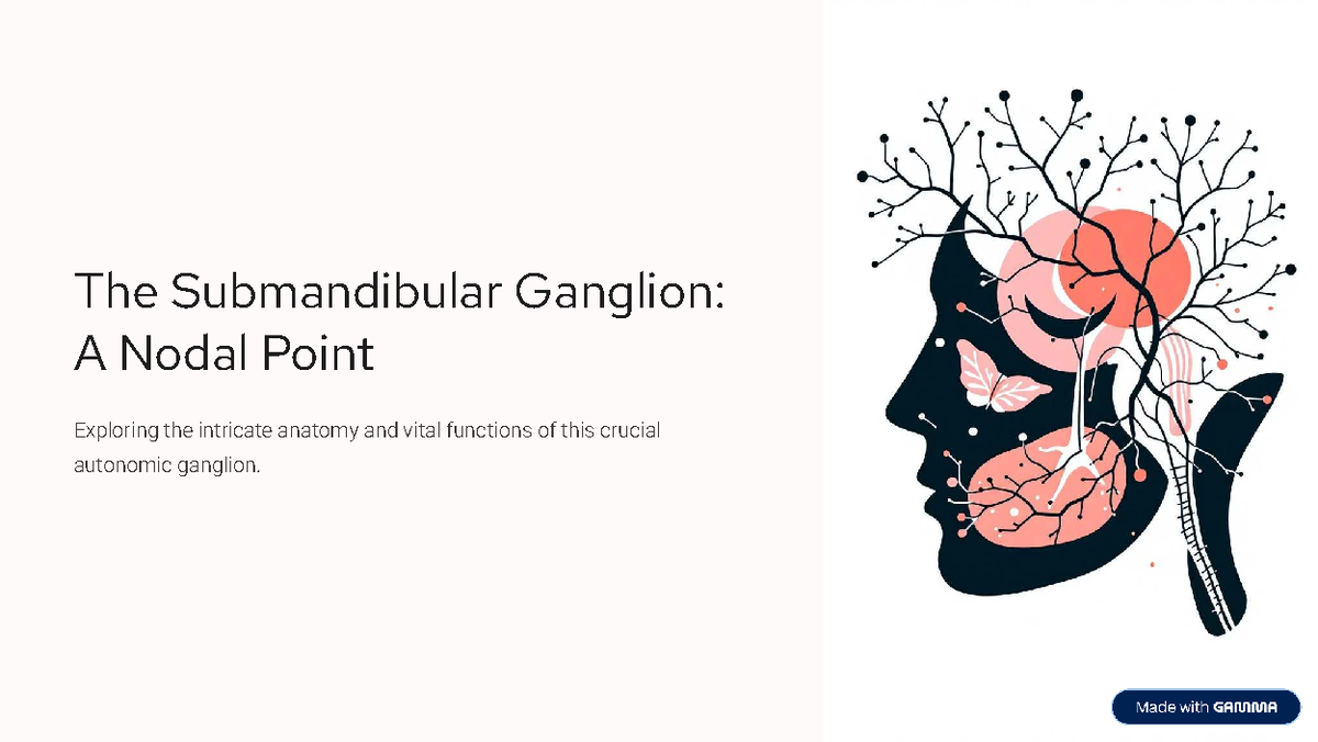 The Submandibular Ganglion: Anatomy, Function, and Clinical Relevance ...