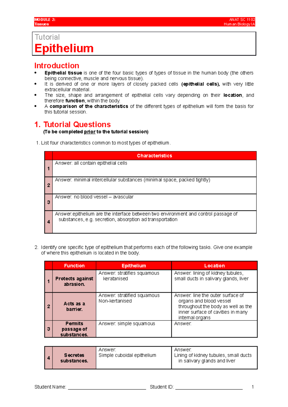 HBIA - Tut 2 - Epithelium - MODULE 2: ANAT SC 1102 Tissues Human ...