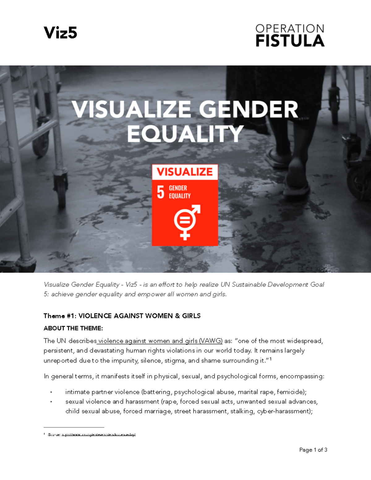 Data description - Viz Visualize Gender Equality - Viz5 - is an effort ...