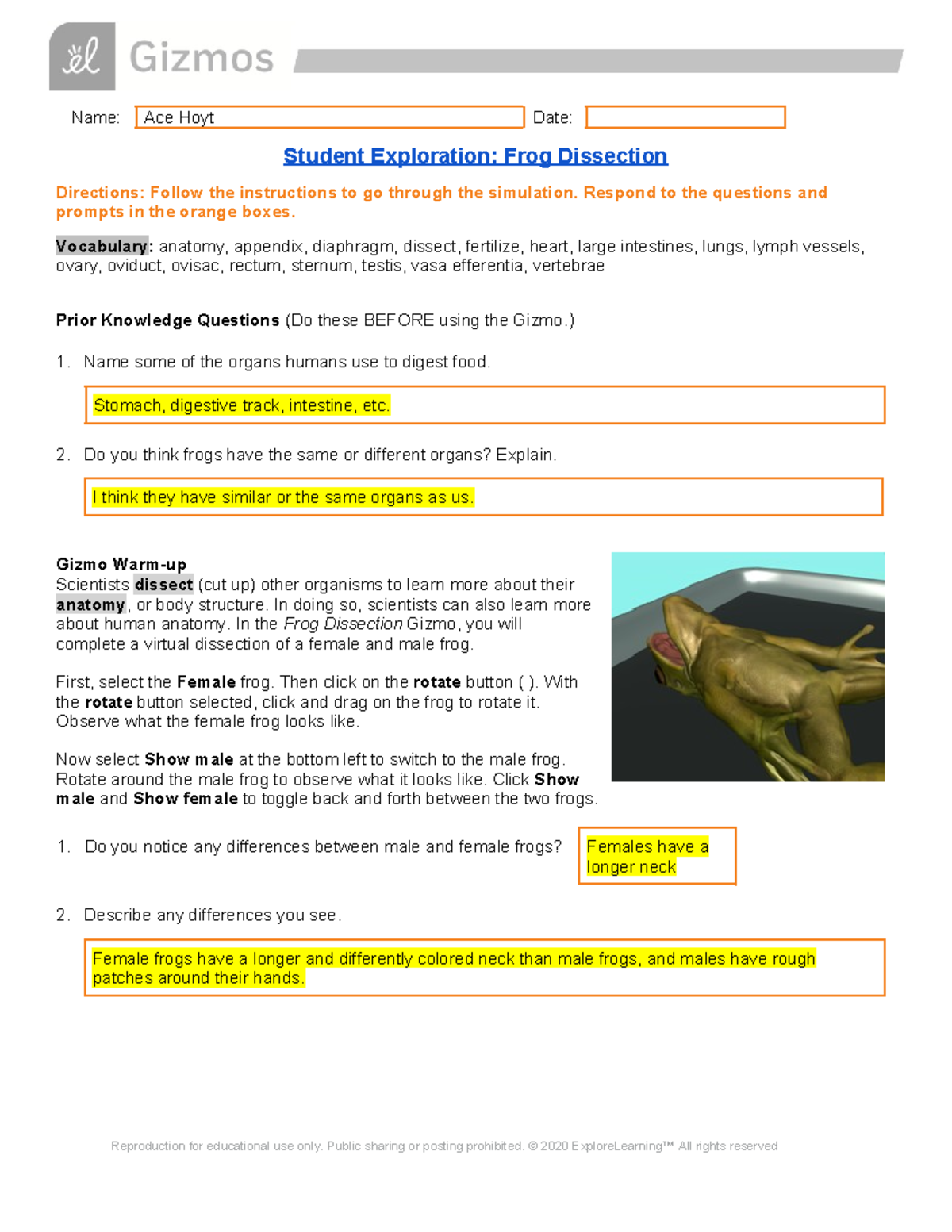 MM Frog Dissection Gizmo: Exploring Anatomy of Male & Female Frogs ...