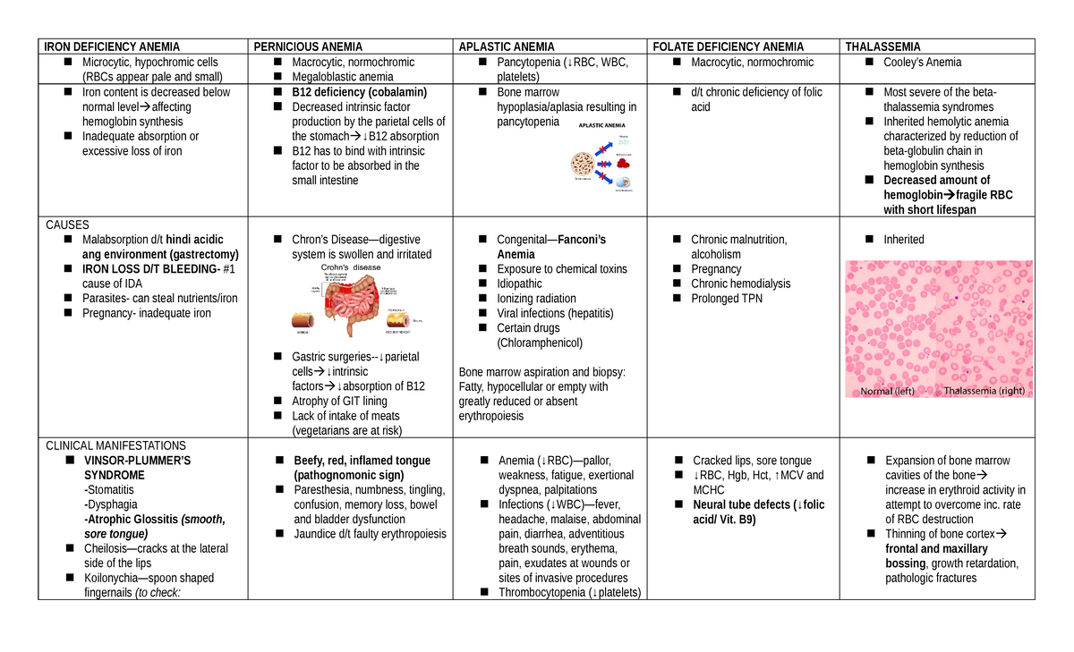 Anemias Overview: Types, Causes, and Clinical Manifestations - Studocu