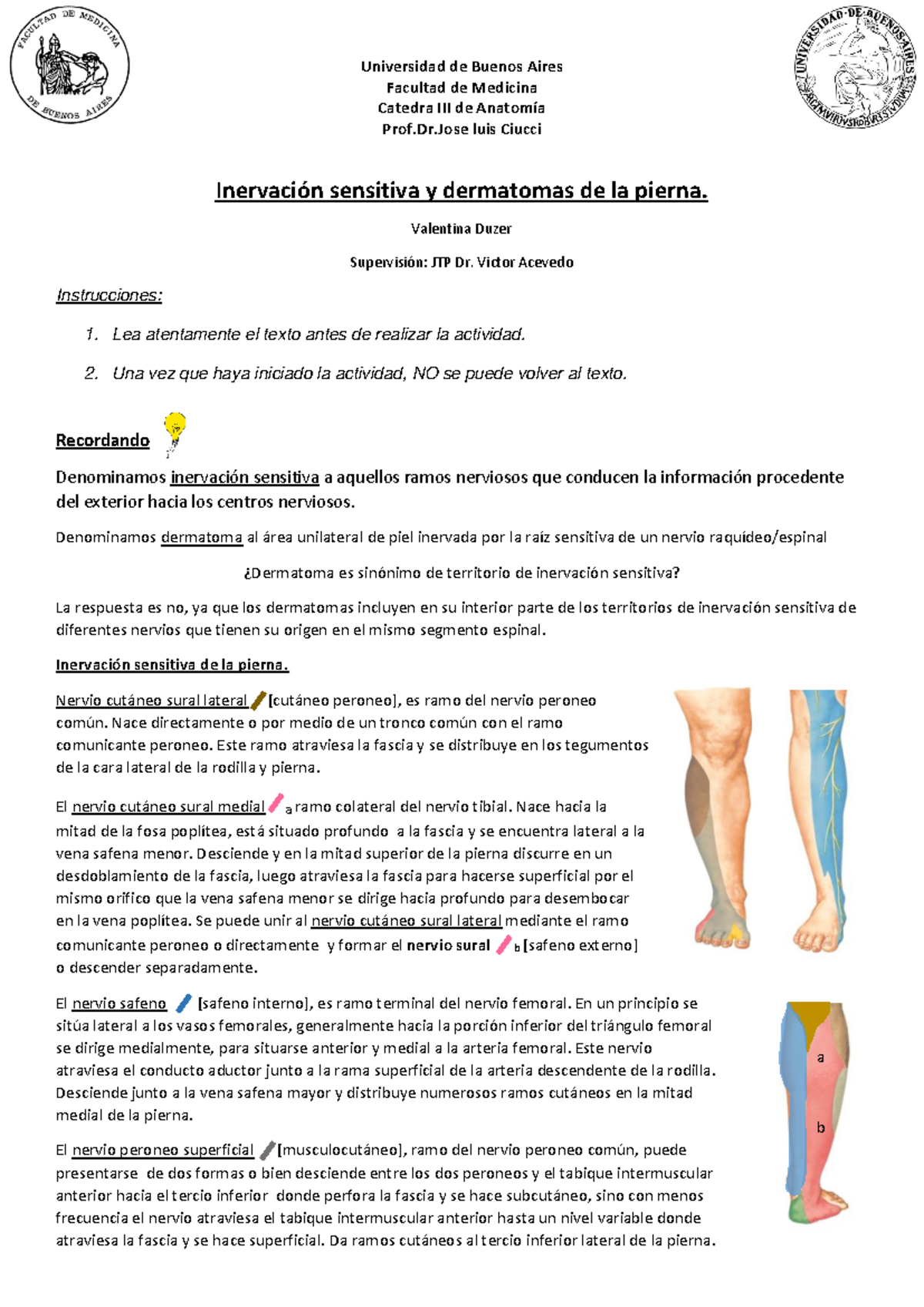 Inervación Sensitiva y Dermatomas: Anatomía de la Pierna - Cátedra III ...