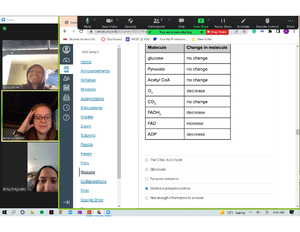 Pogil KEY 14 125-132 Gene Expression-Transcription-T - Gene Expression ...