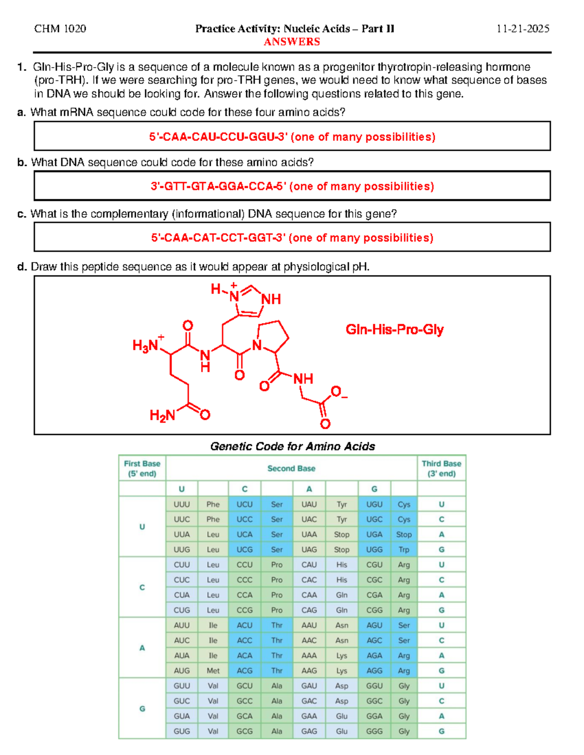 CHM 1020 Practice Activity: Nucleic Acids – Part II - Studocu
