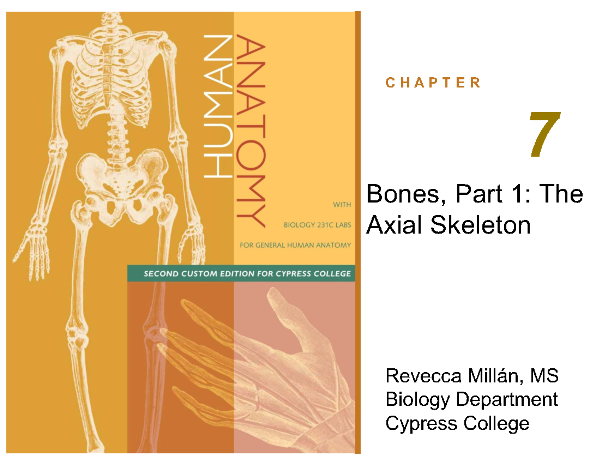 Biology 101: Chapter 7 - Overview of the Axial Skeleton Anatomy - Studocu