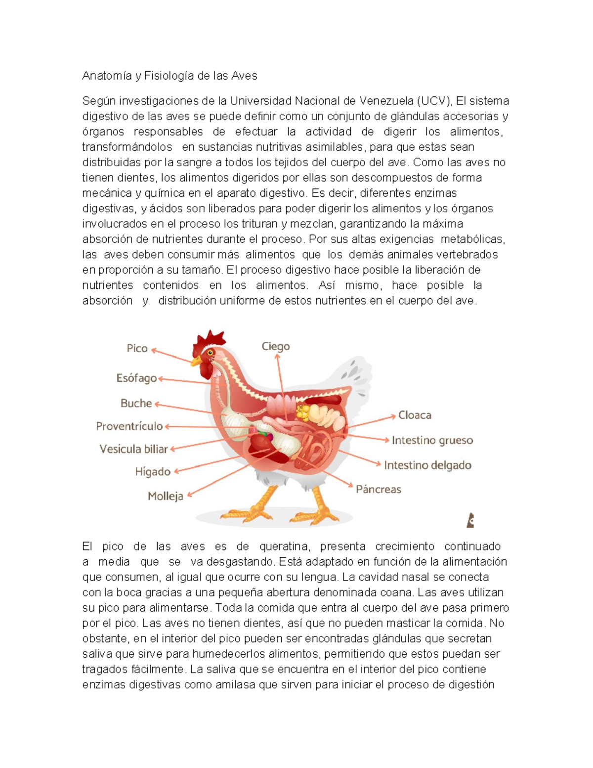 Anatomía y Fisiología Digestiva de las Aves - UCV - Studocu