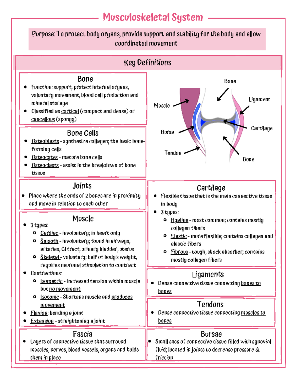 NUR 218 Musculoskeletal System Assessment - ####### 3 types ...
