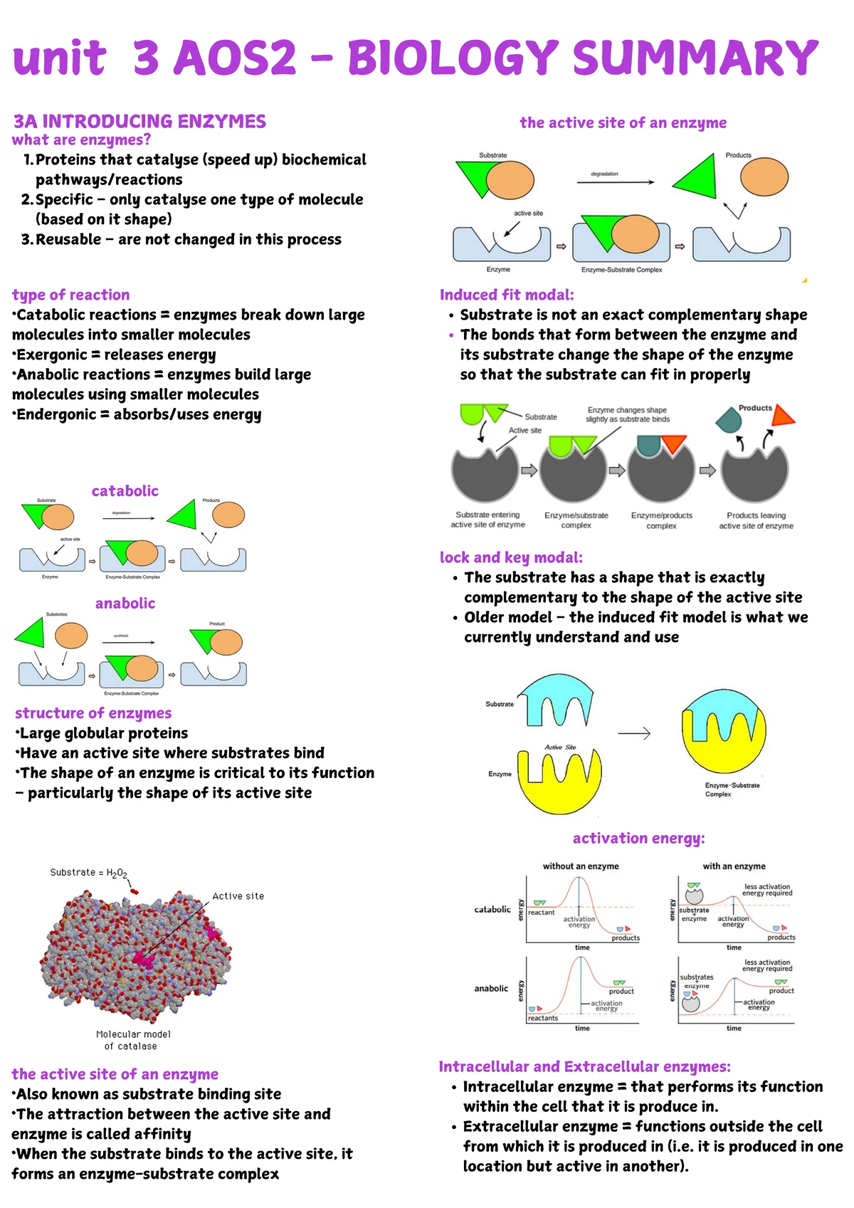 Biodiesel Synthesis & Analysis SAC for VCE Chemistry Unit 3 - Studocu