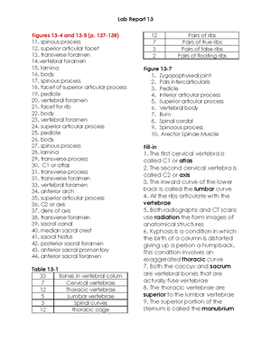 Anaphy Module 3 Quizzes - Respiratory System (15 Questions & Answers ...