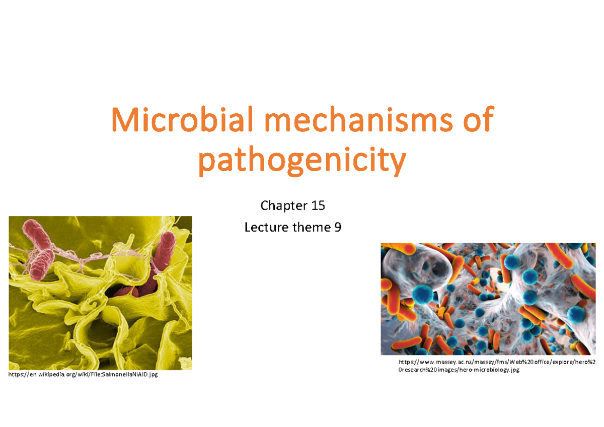 MBY161 Final Exam Lecture Notes on Microbial Pathogenicity Theme 9 ...