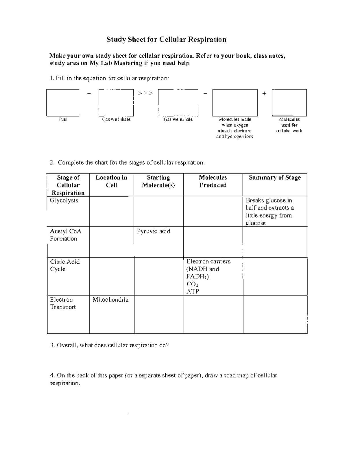 Study Sheet Cellular Respiration & Photosynthesis - Study Sheet for ...