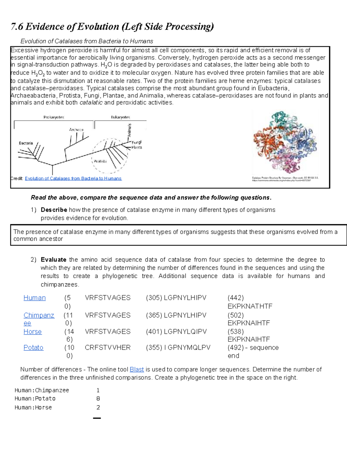 Copy of 7.6-7.10 Evolution Evidence and Phylogeny Analysis - Studocu