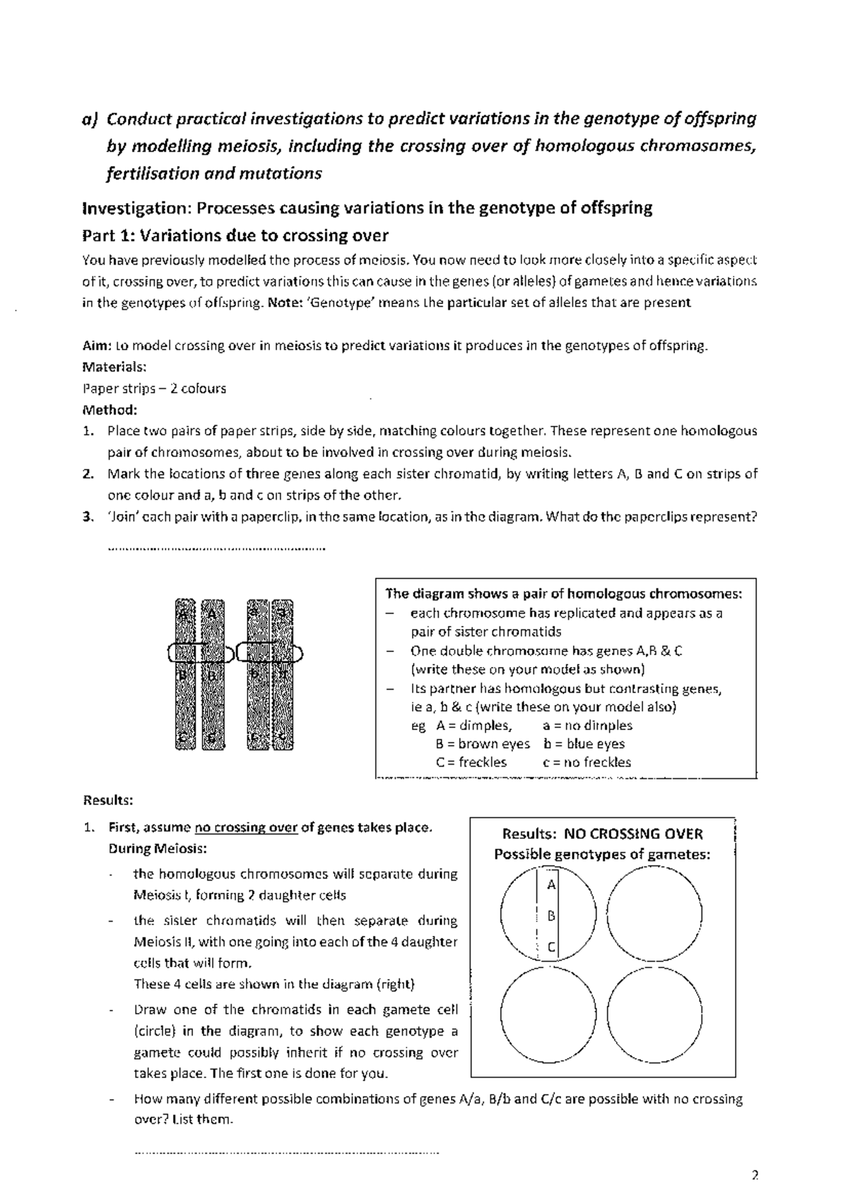 Crossing Over Activity: Investigating Genotype Variations in Meiosis ...