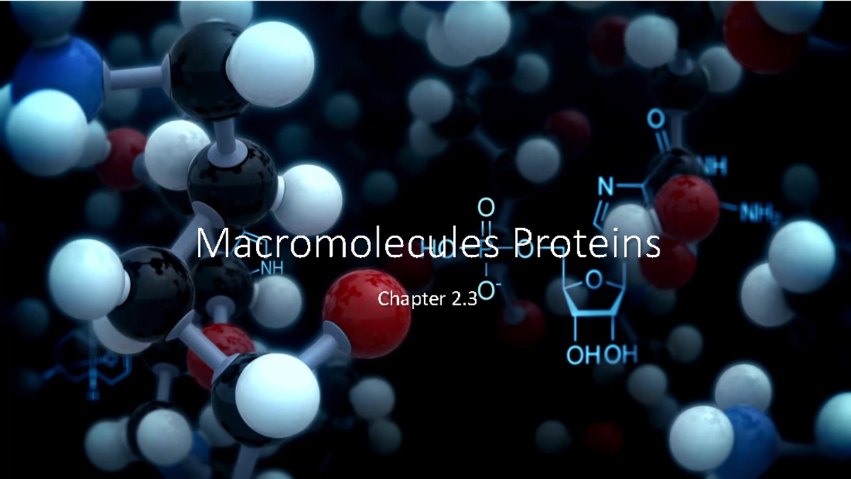 Protein Structure and Function Overview (BIO101 Chapter 2.3 ...