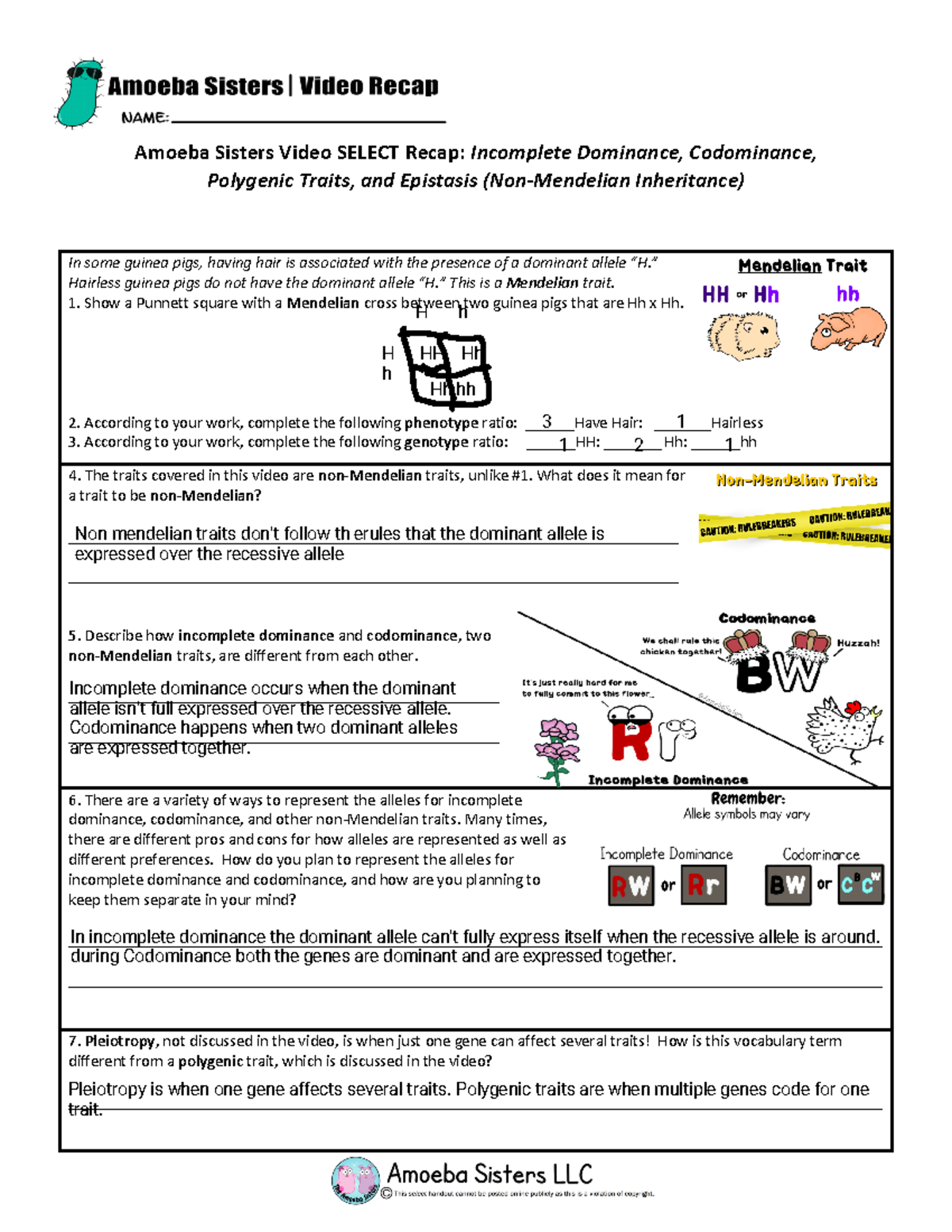 Classification Bi Worksheet Answer Key Practicewith Taxonomy KEY 1