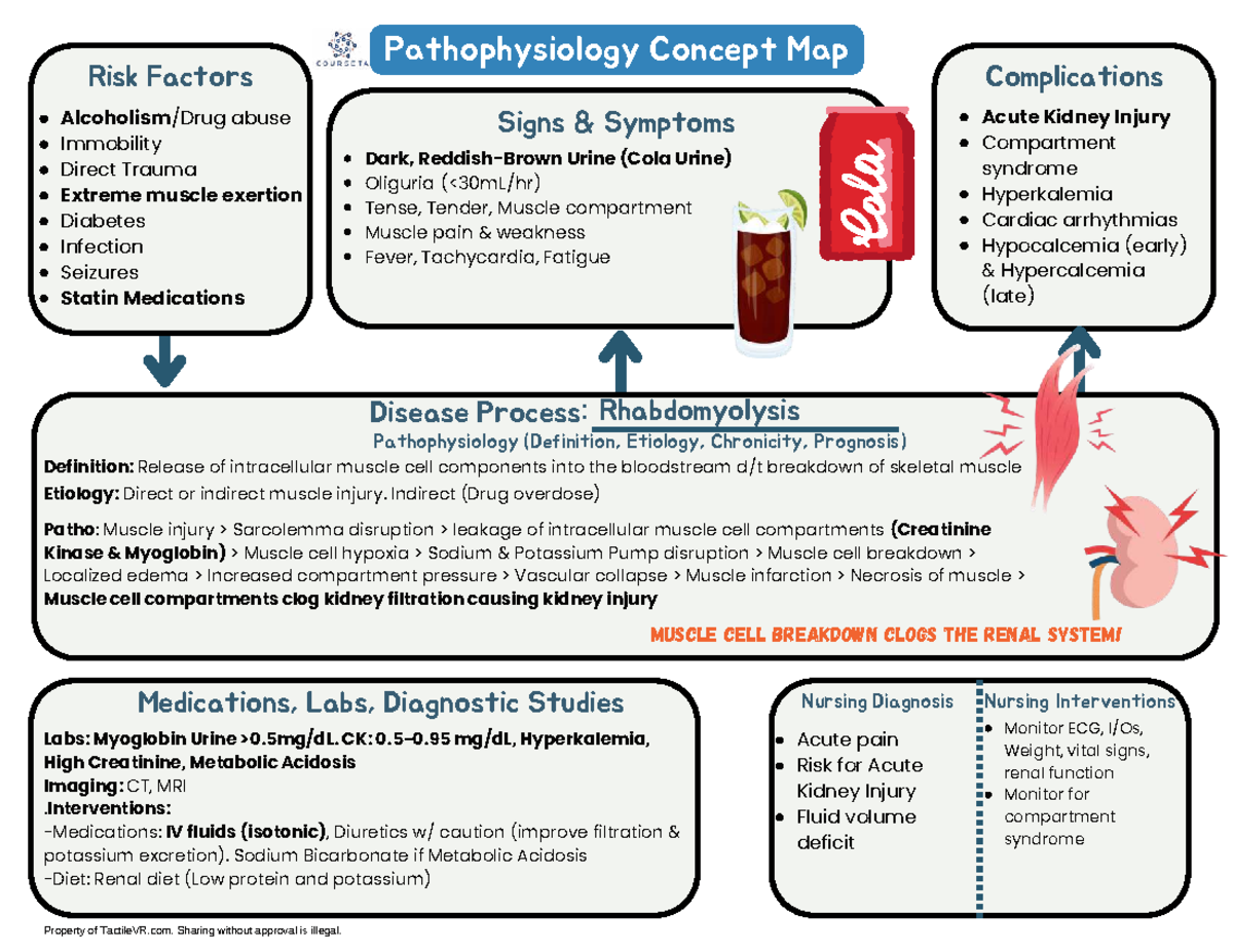 Renal Patho Concept Map: Risk Factors, Complications & Interventions ...
