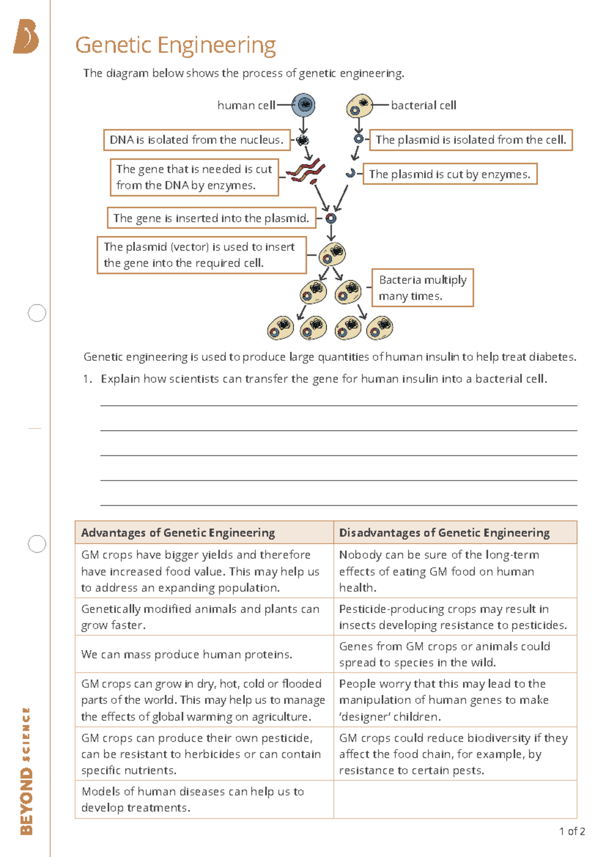 Genetic Engineering Worksheet: Advantages & Disadvantages Analysis ...