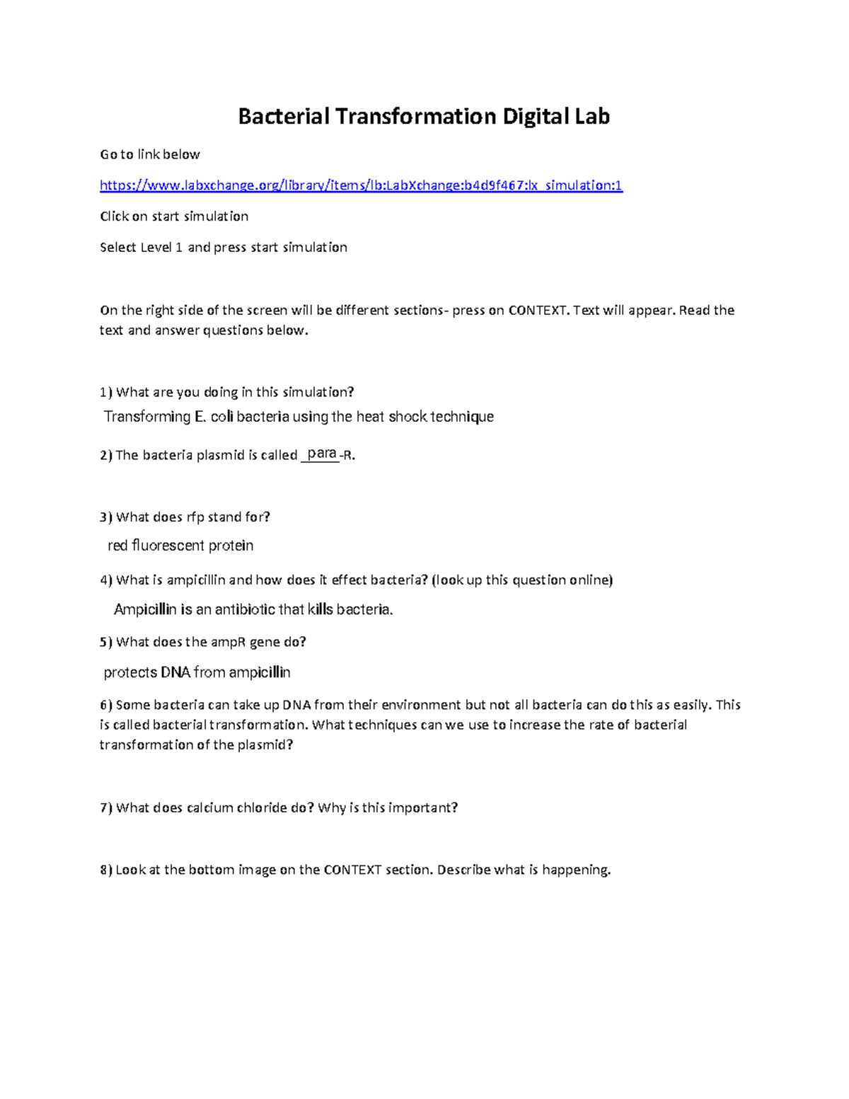 Bacterial Transformation Lab Simulation Guide (BIO 101) - Studocu