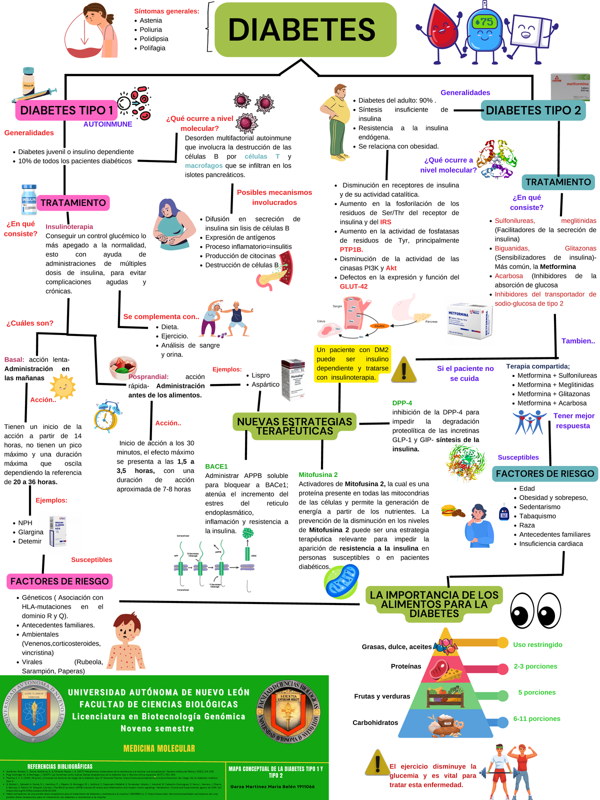 Mapa Conceptual sobre Diabetes Tipo 1 y Tipo 2 - 1911066 - Studocu