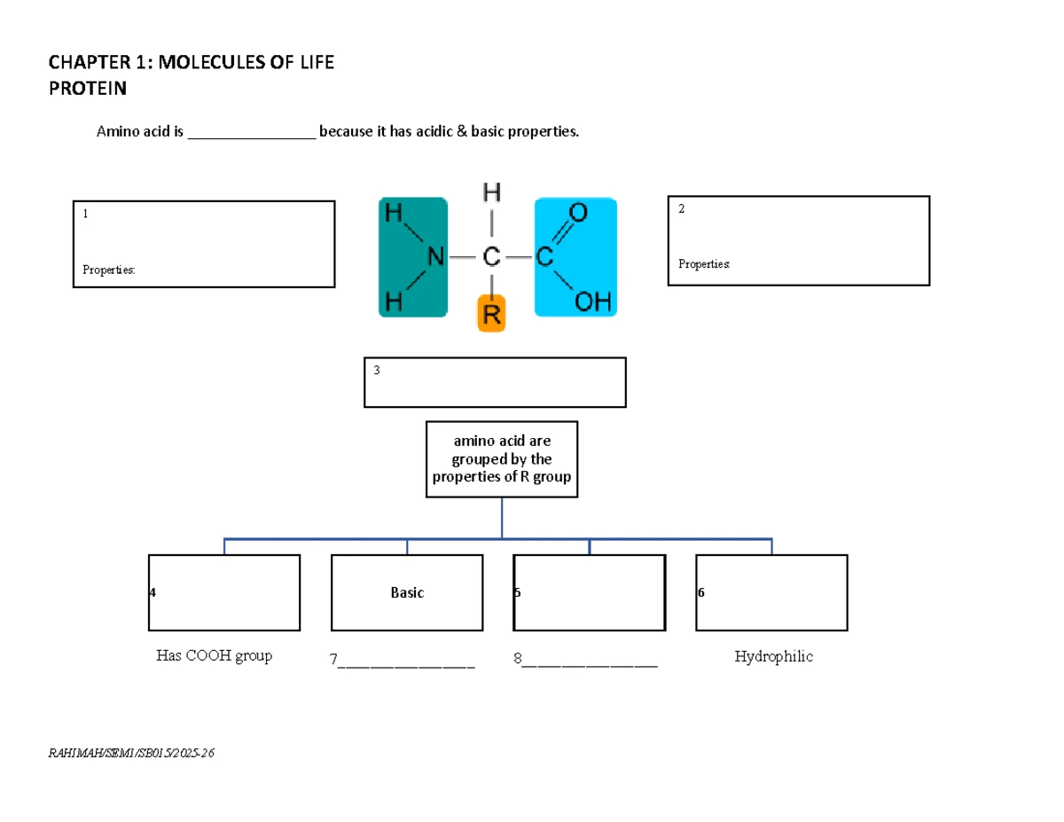 Lipid SB015 2025-26: Chapter 1 - Molecules of Life - Studocu