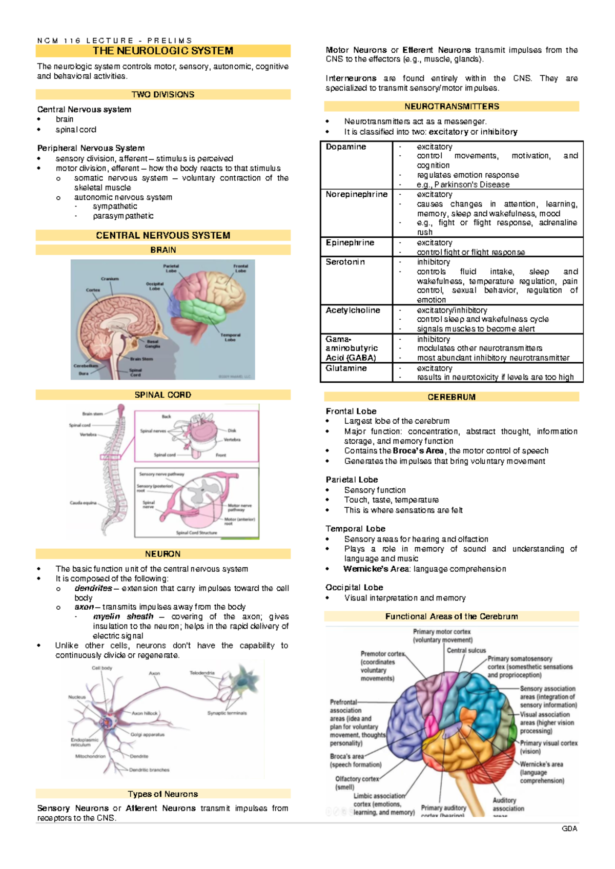 NCM 116 Lecture: Overview of the Neurologic System and Disorders - Studocu