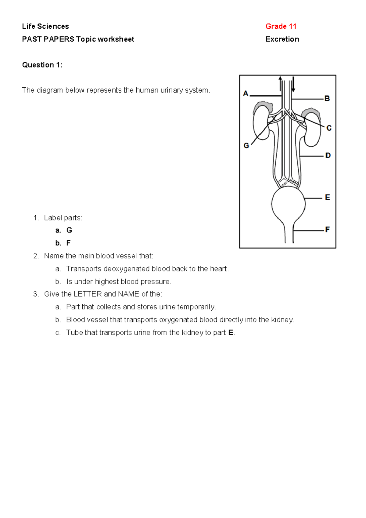 Life Sciences Grade 11 Excretion Topic Worksheet 2 - Past Papers - Studocu