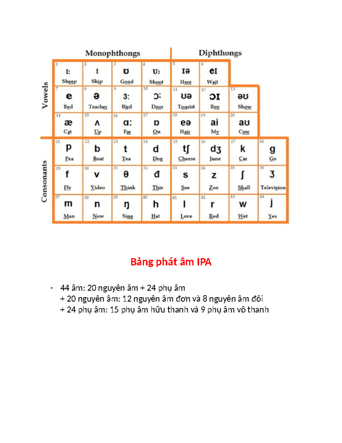 Bảng phát âm IPA - ipa - Ngôn ngữ Anh - Bảng phát âm IPA - 44 âm: 20 ...