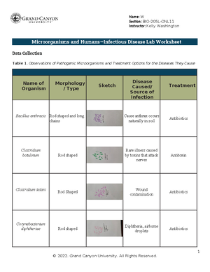 BIO 205L RS T4 - Lab Worksheet - Bacterial Genetics Lab Worksheet ...