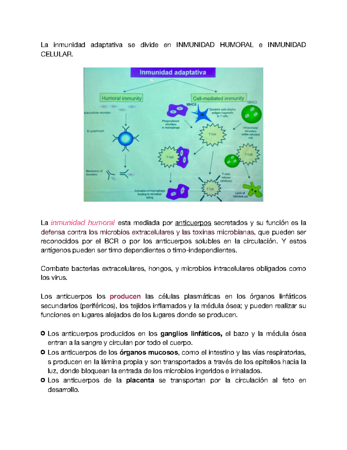 Inmunidad Adaptativa: Humoral y Celular en Detalle - Studocu